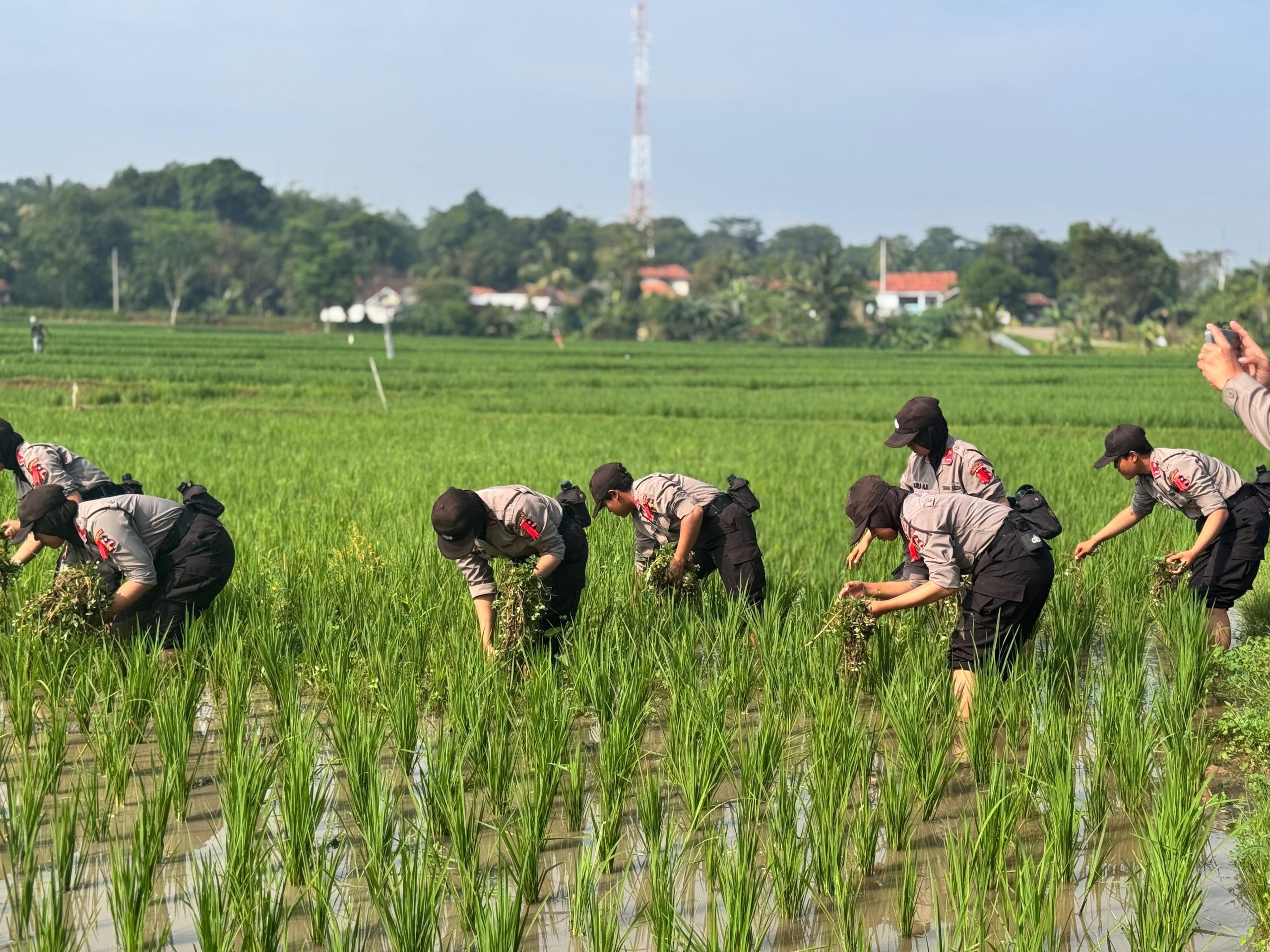 Keterlibatan Polwan dalam Pembangunan Nasional: Latja 2025 Inovatif ...